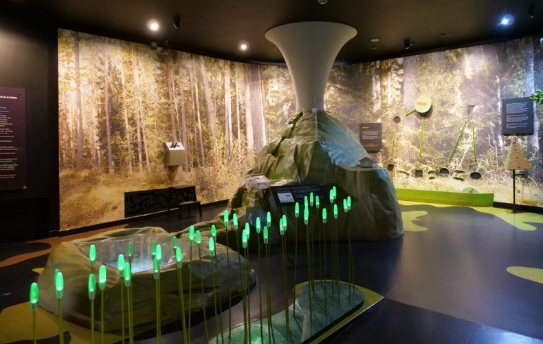 New and modern IP-based video surveillance system creation at the ...